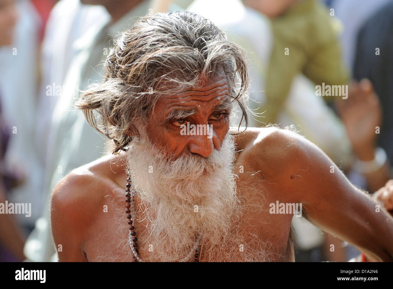 Portrait of a indian man Stock Photo - Alamy