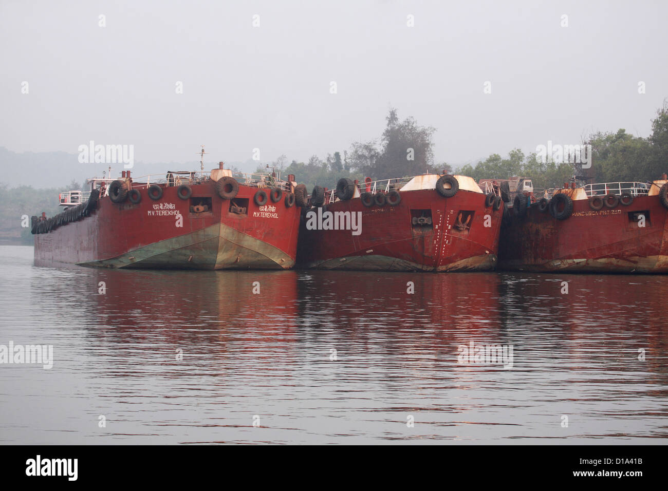 Barges parked on mandovi river, Goa Stock Photo - Alamy