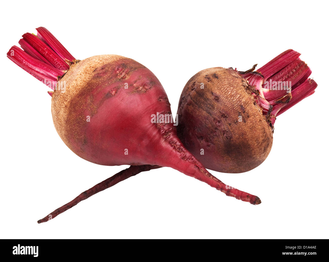 Beet purple vegetable isolated on white background. Clipping Path Stock Photo - Alamy