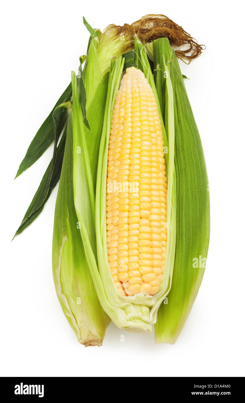 fresh corn fruits with green leaves isolated on white background Stock ...