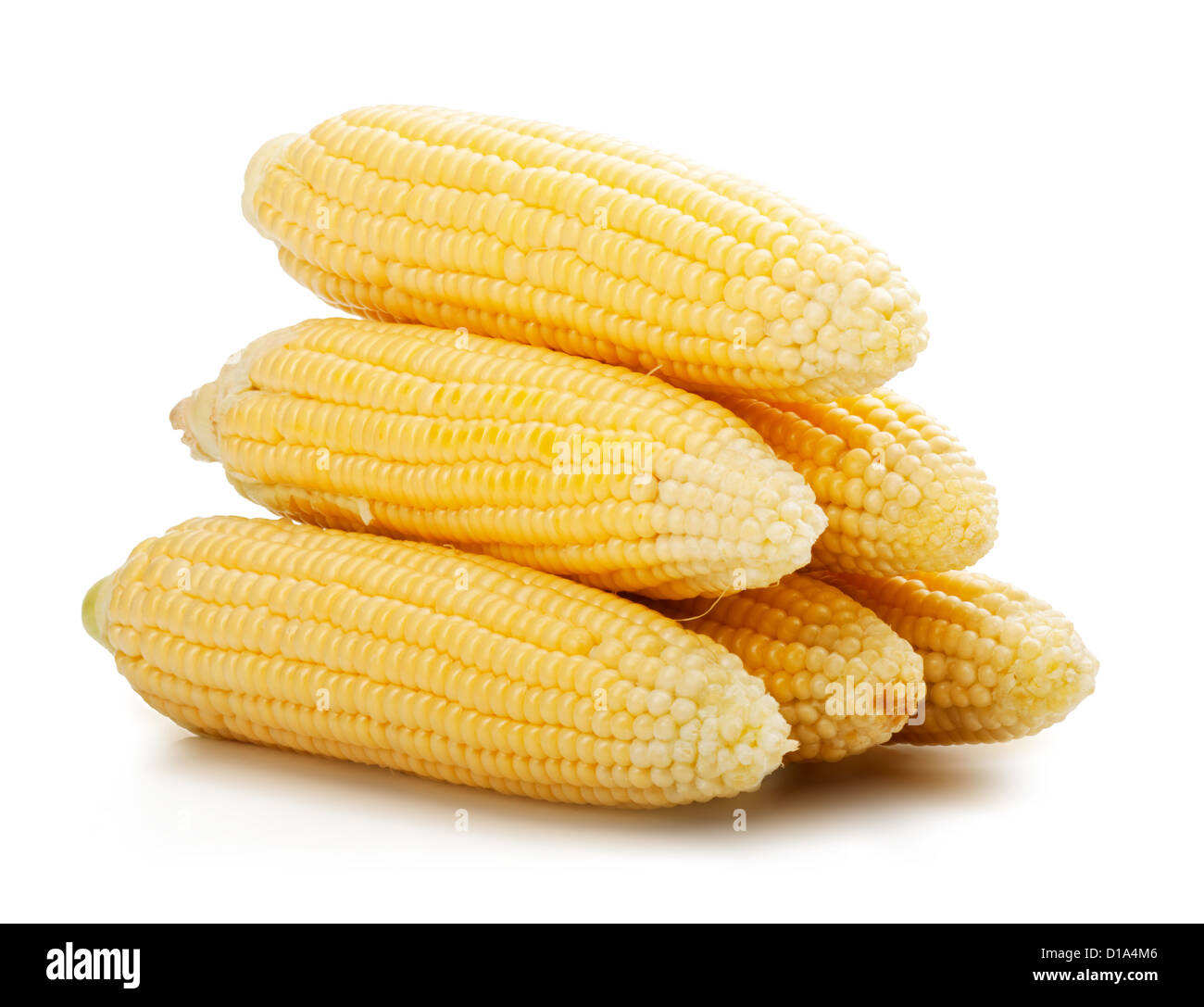 fresh corn fruits isolated on white background Stock Photo - Alamy