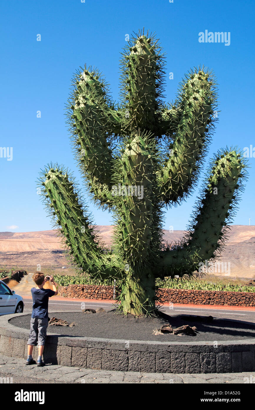 Sculpture of a giant cactus Stock Photo - Alamy