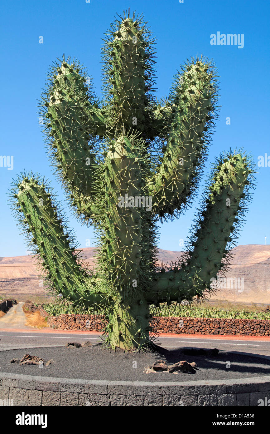 Sculpture of a giant cactus Stock Photo - Alamy