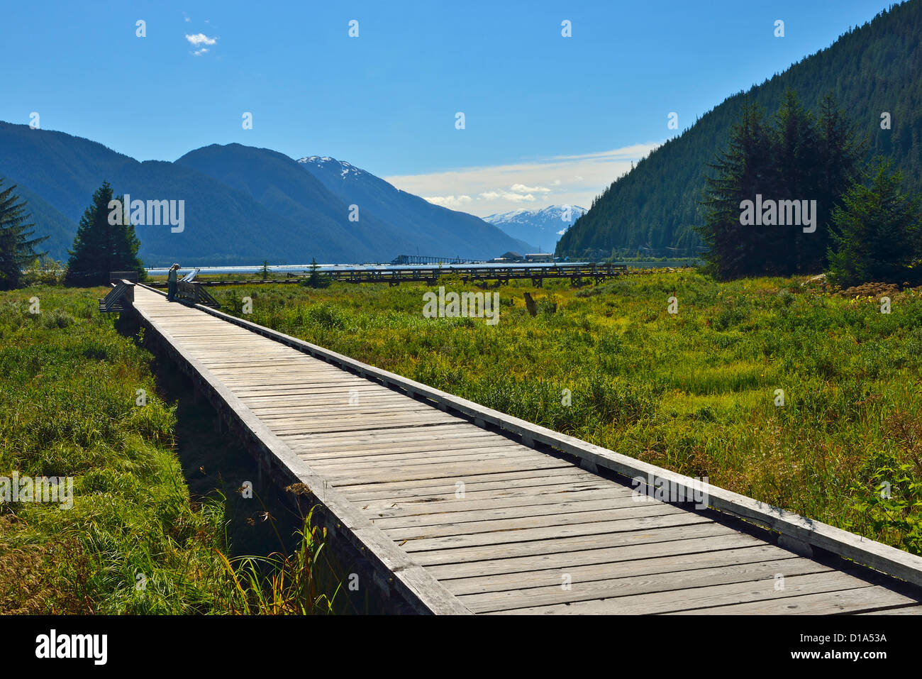 A boardwalk across the estuary of the Portland canal near Stewart B.C ...