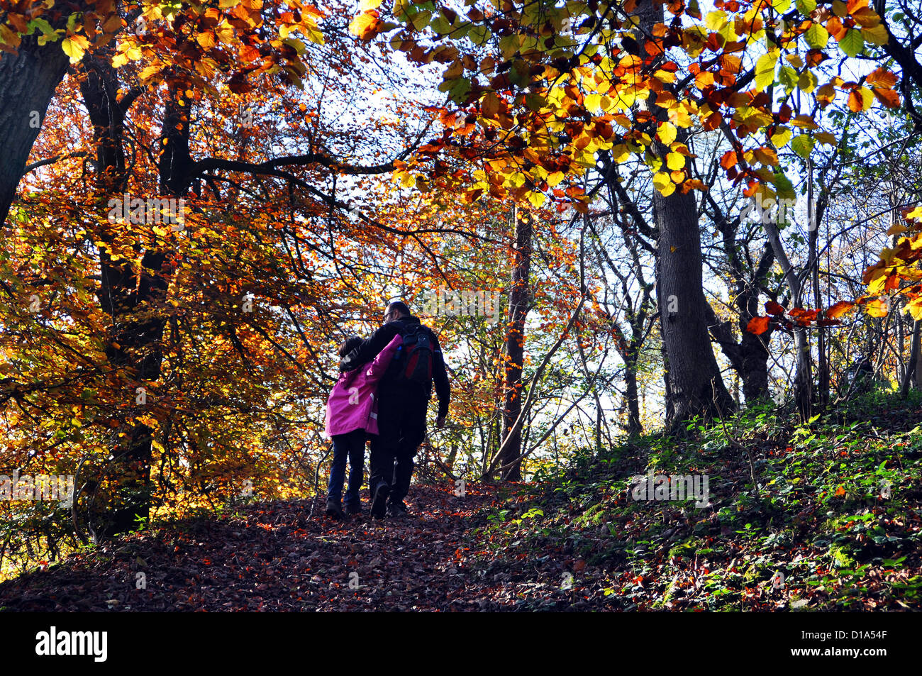 Autumn walk hi-res stock photography and images - Alamy