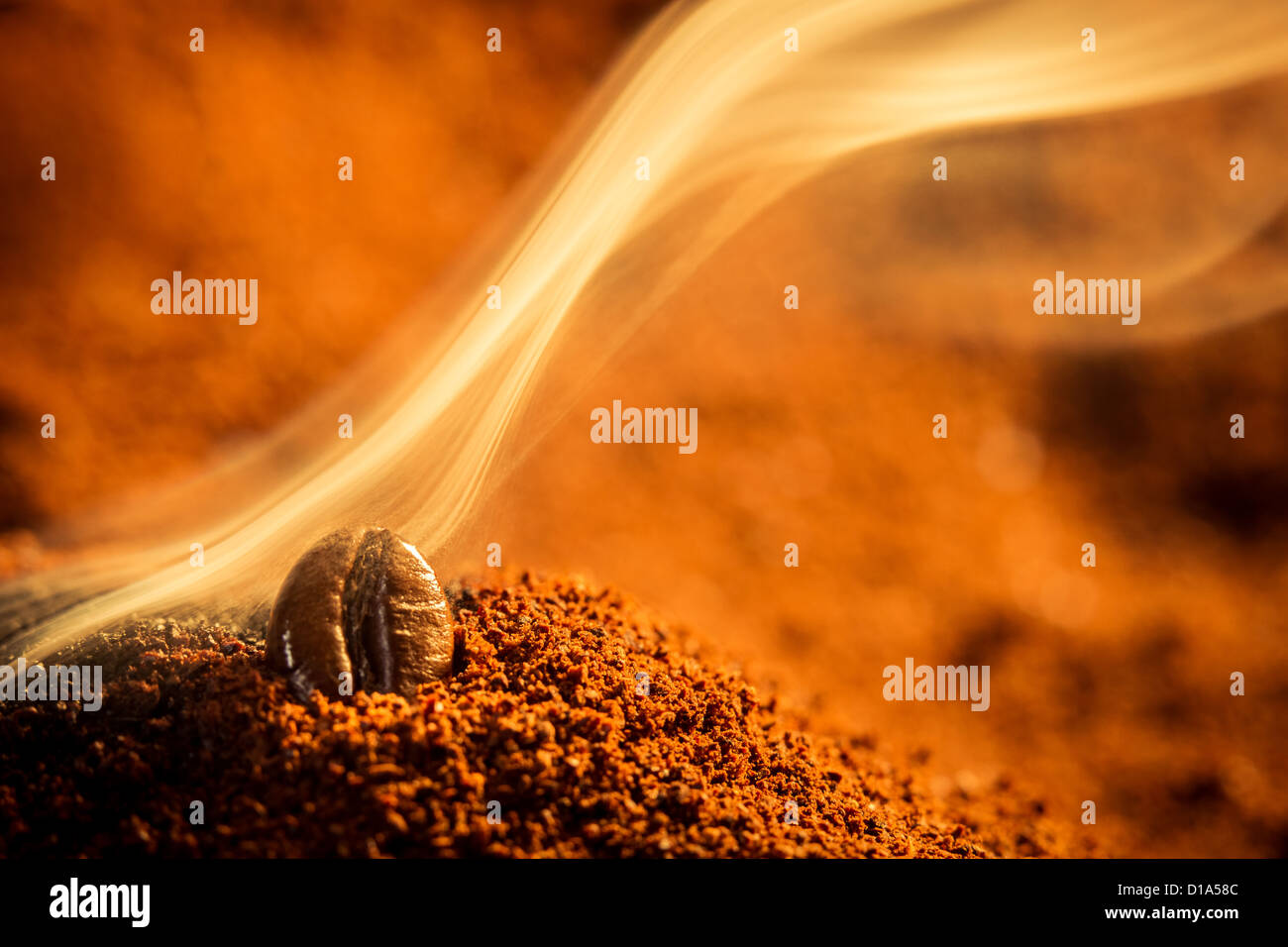 Closeup one burned coffee beans Stock Photo - Alamy