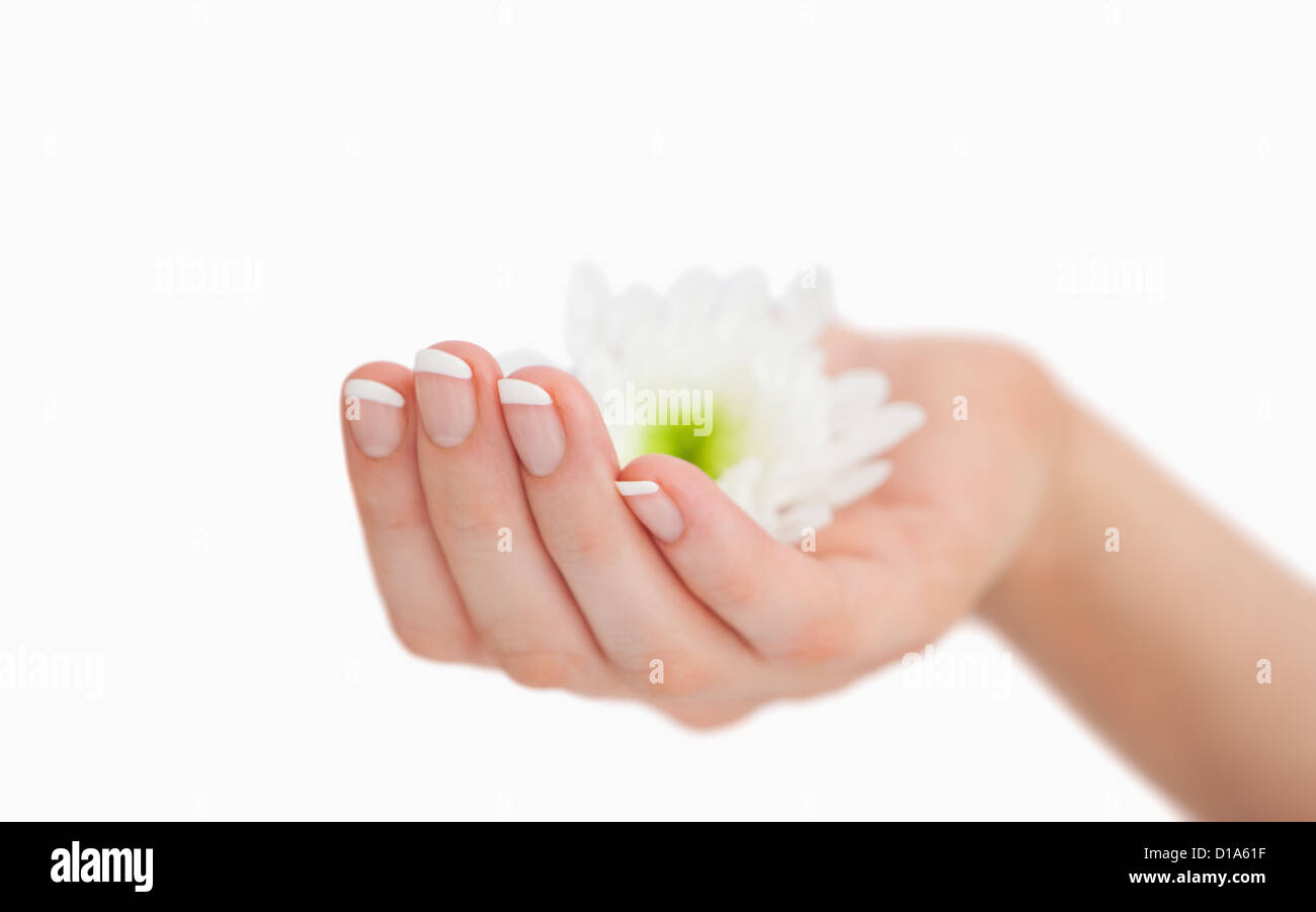 Hand of flowers hi-res stock photography and images - Alamy