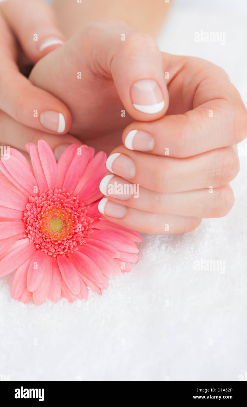 Flower french hi-res stock photography and images - Alamy