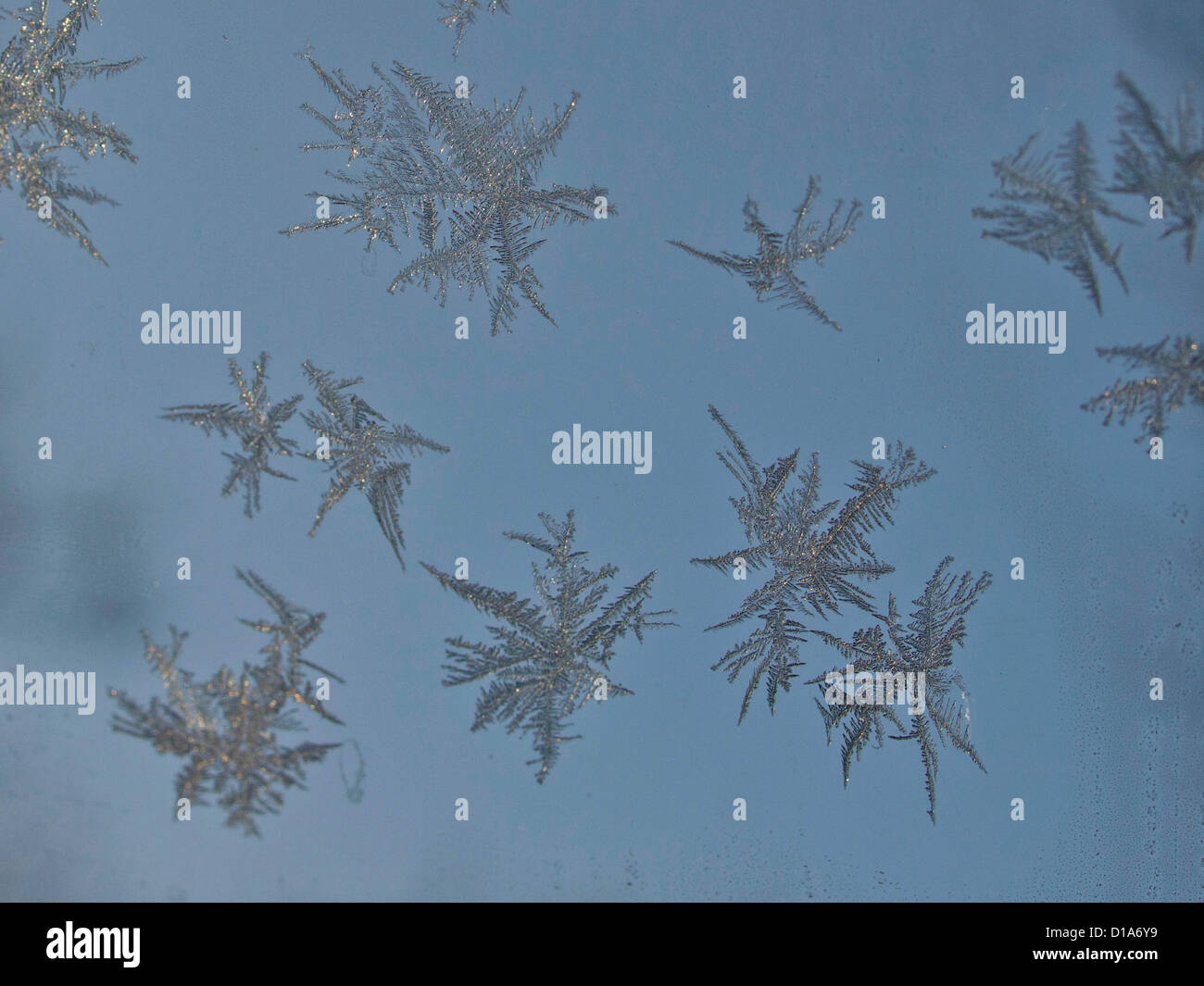 Frost patterns on the windscreen with sky background. Ice formation on ...