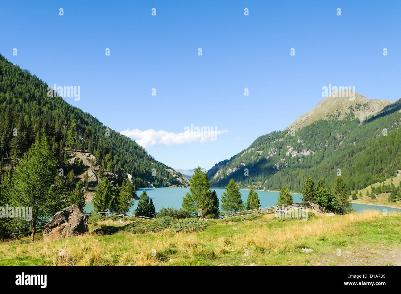 Peaceful landscape of north Italy with evergreen trees and blue lake ...