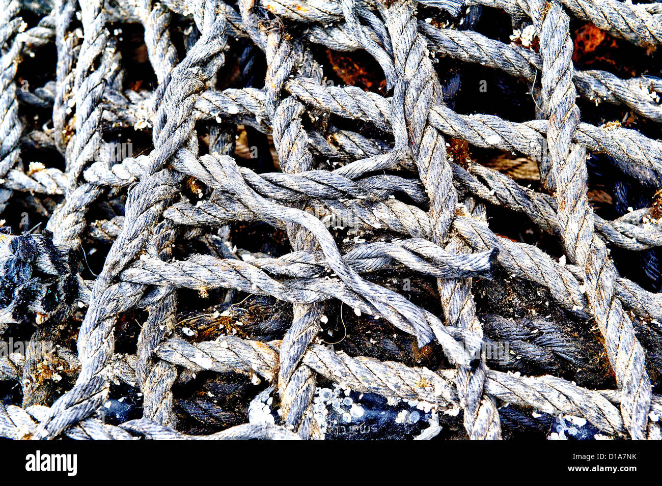 Fishnets nets net fishing hi-res stock photography and images - Alamy