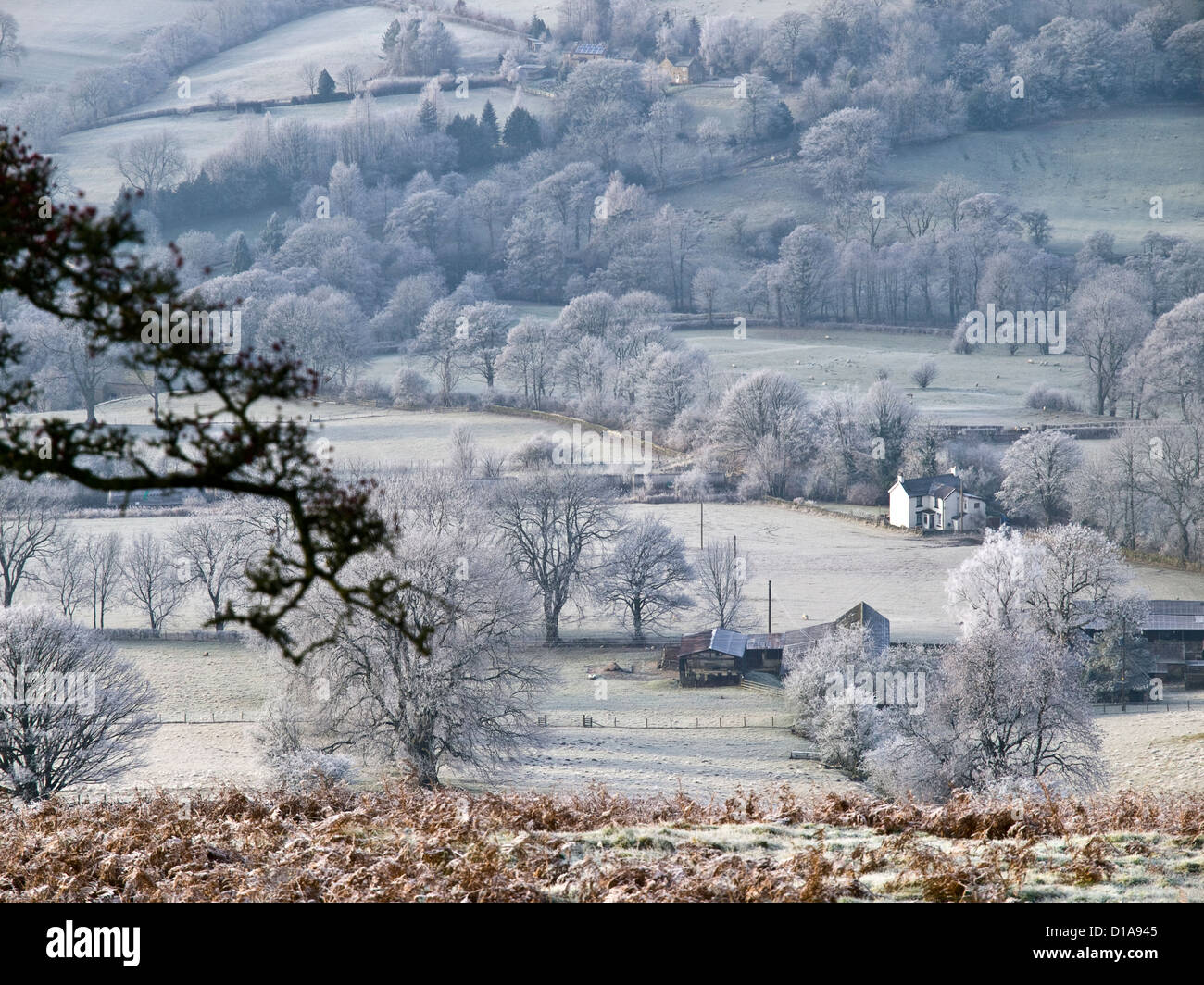 frost covered fields on a winter morning Edale, Peak District National ...