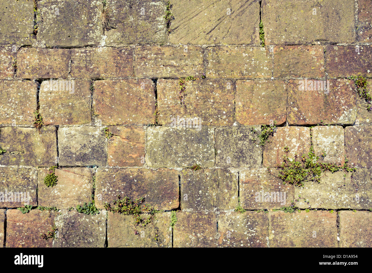 Old wall ground covered hi-res stock photography and images - Alamy
