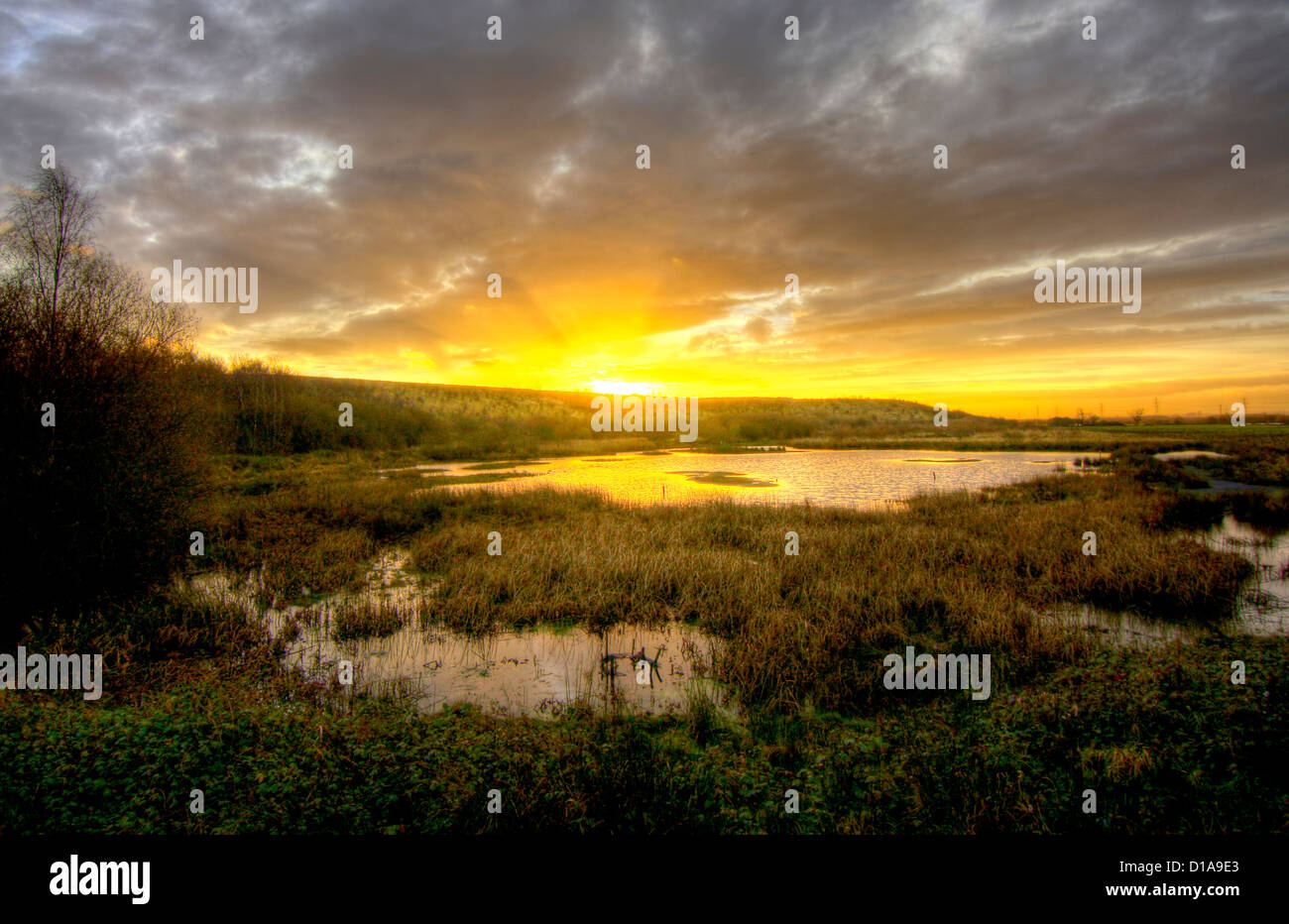 Fairburn Ings Nature Reserve Stock Photos & Fairburn Ings Nature ...