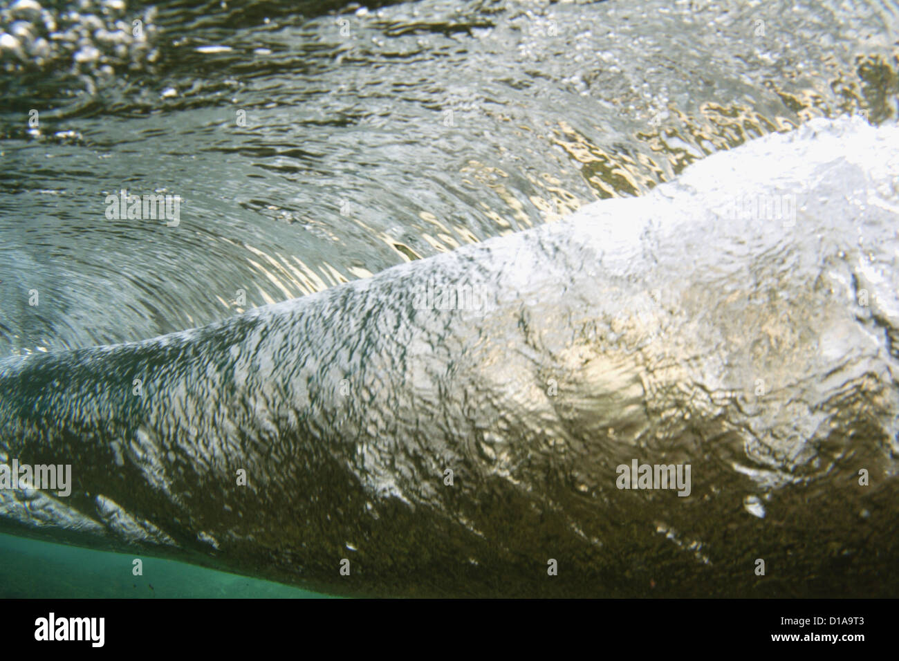 Hawaii, Long Blue Curl Of A Wave From Underwater Stock Photo - Alamy