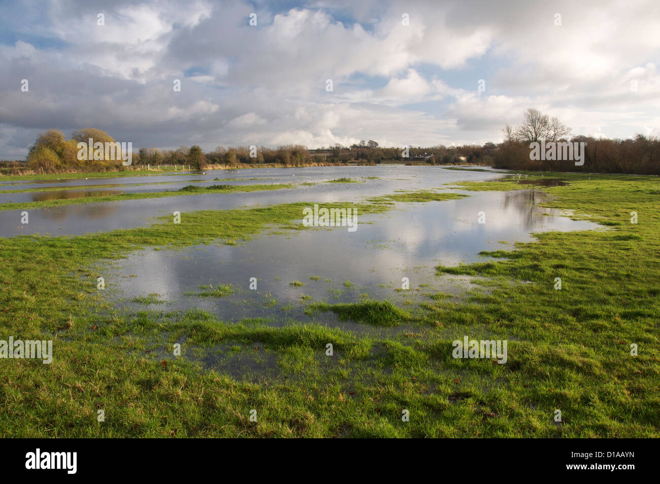 Unusual weather. November 2012. The River Frome overflows its banks ...