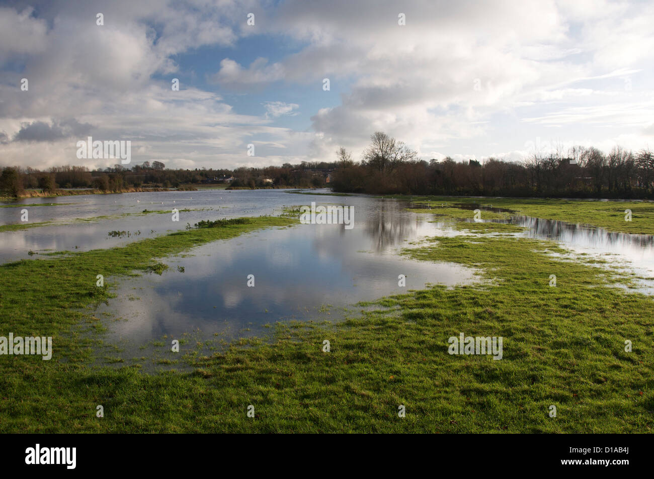 Unusual weather. November 2012. The River Frome overflows its banks ...