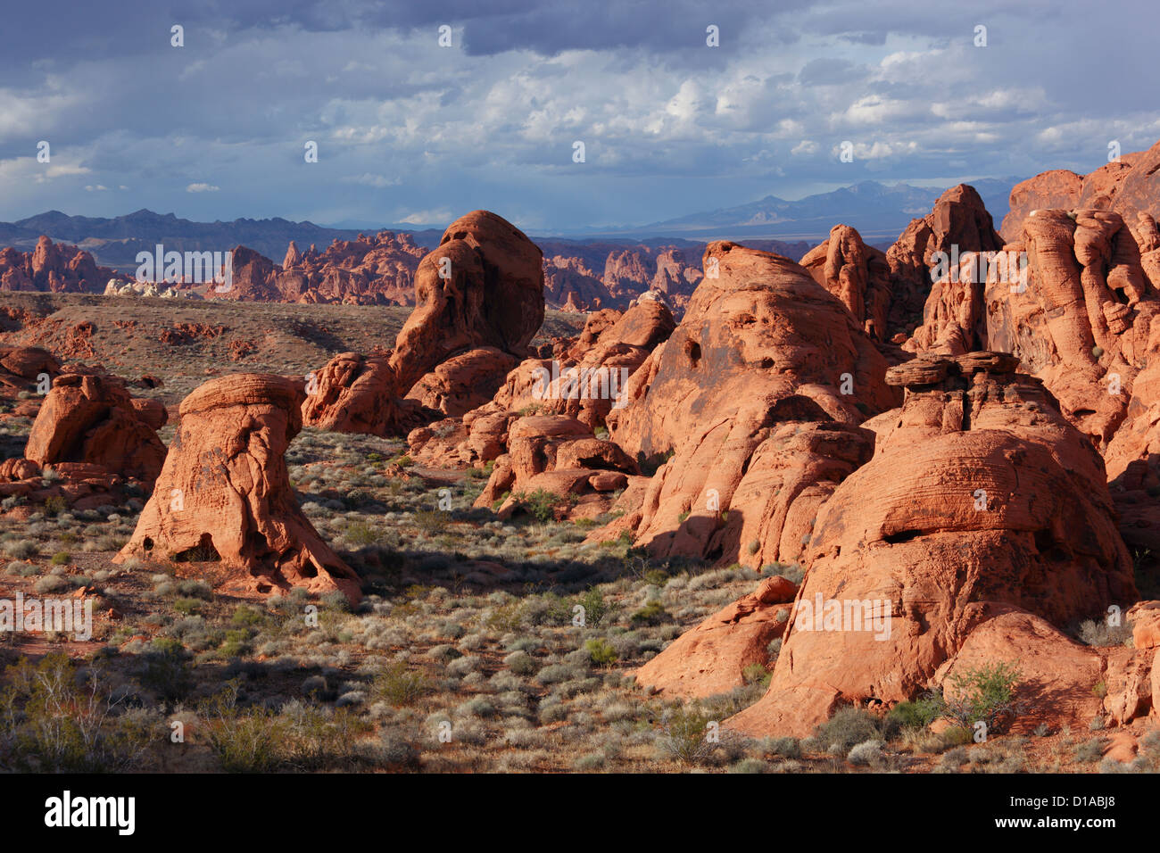 Sandstone formation, Valley of Fire State Park, Nevada, USA Stock Photo ...