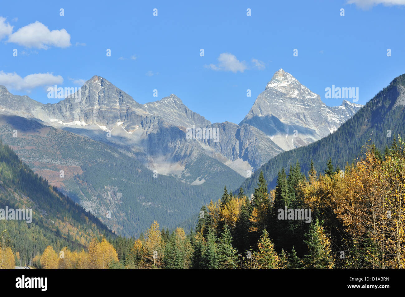 Autumn colours in the Canadian Rocky Mountains, Alberta, Canada Stock ...