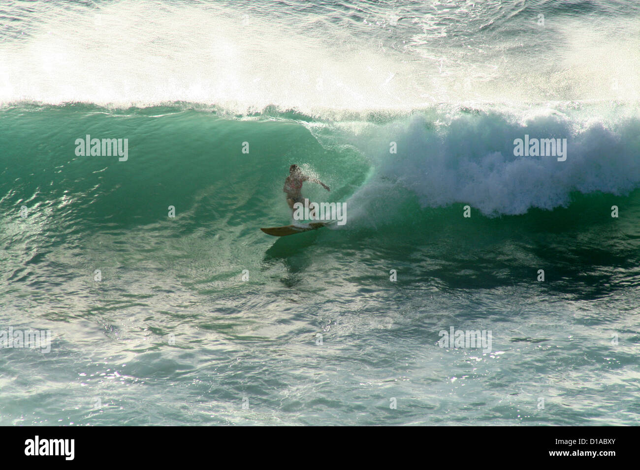 Surfer riding tube wave, Maui, Hawaii Stock Photo - Alamy