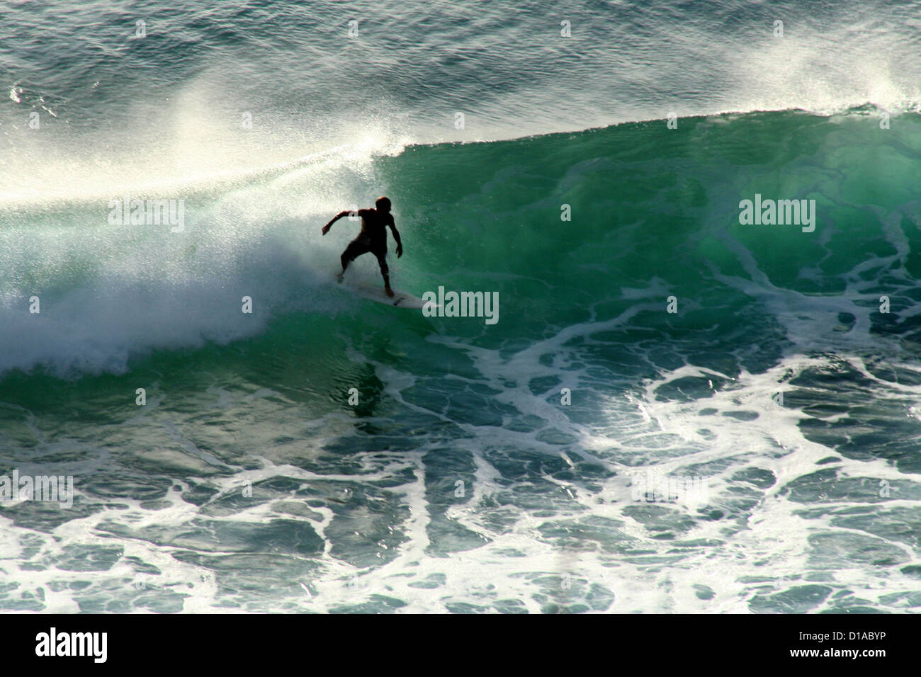 Surfer riding a big wave with ocean spray, Maui, Hawaii Stock Photo - Alamy