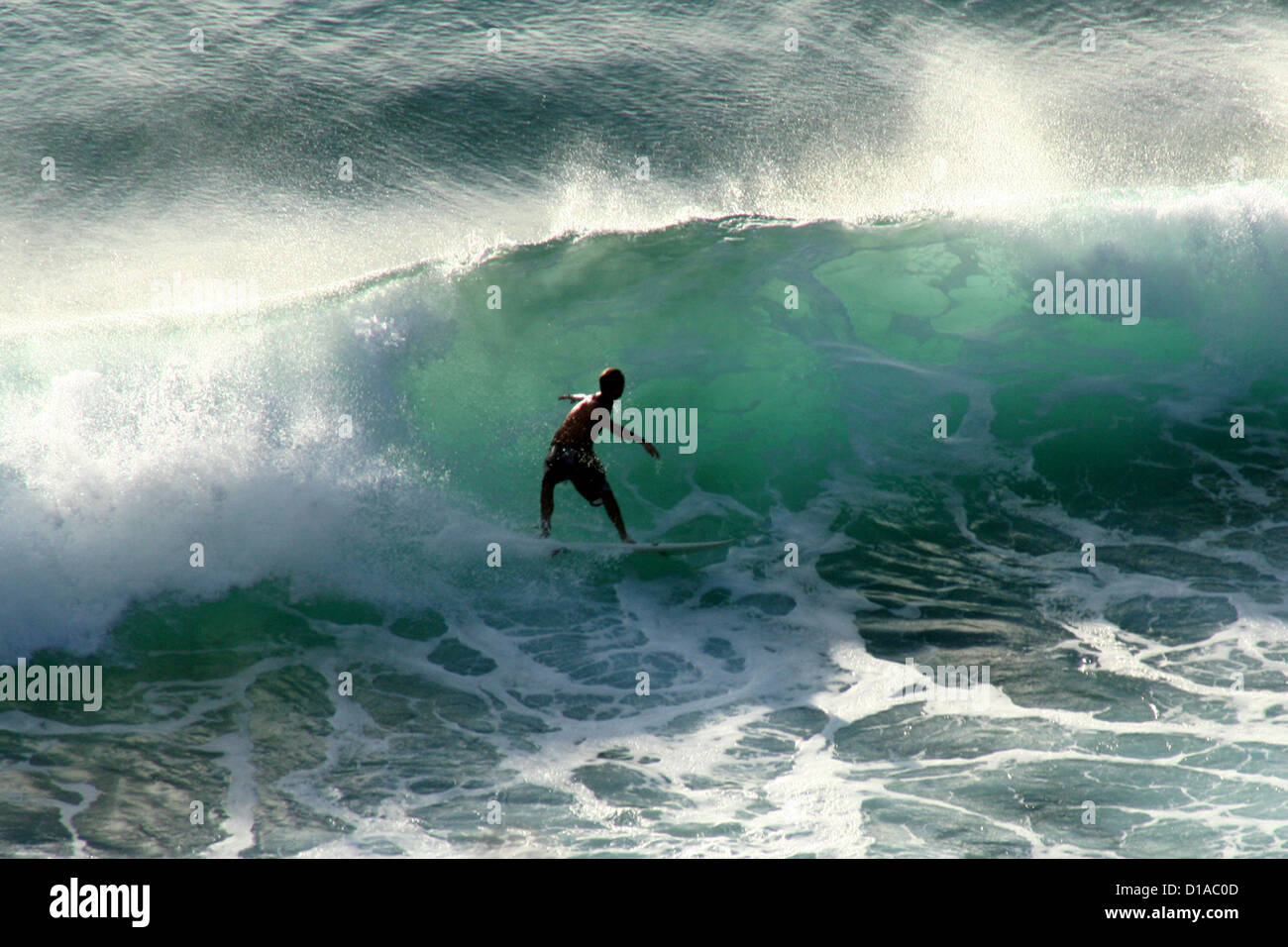 Surfer riding a big wave, Maui, Hawaii Stock Photo - Alamy