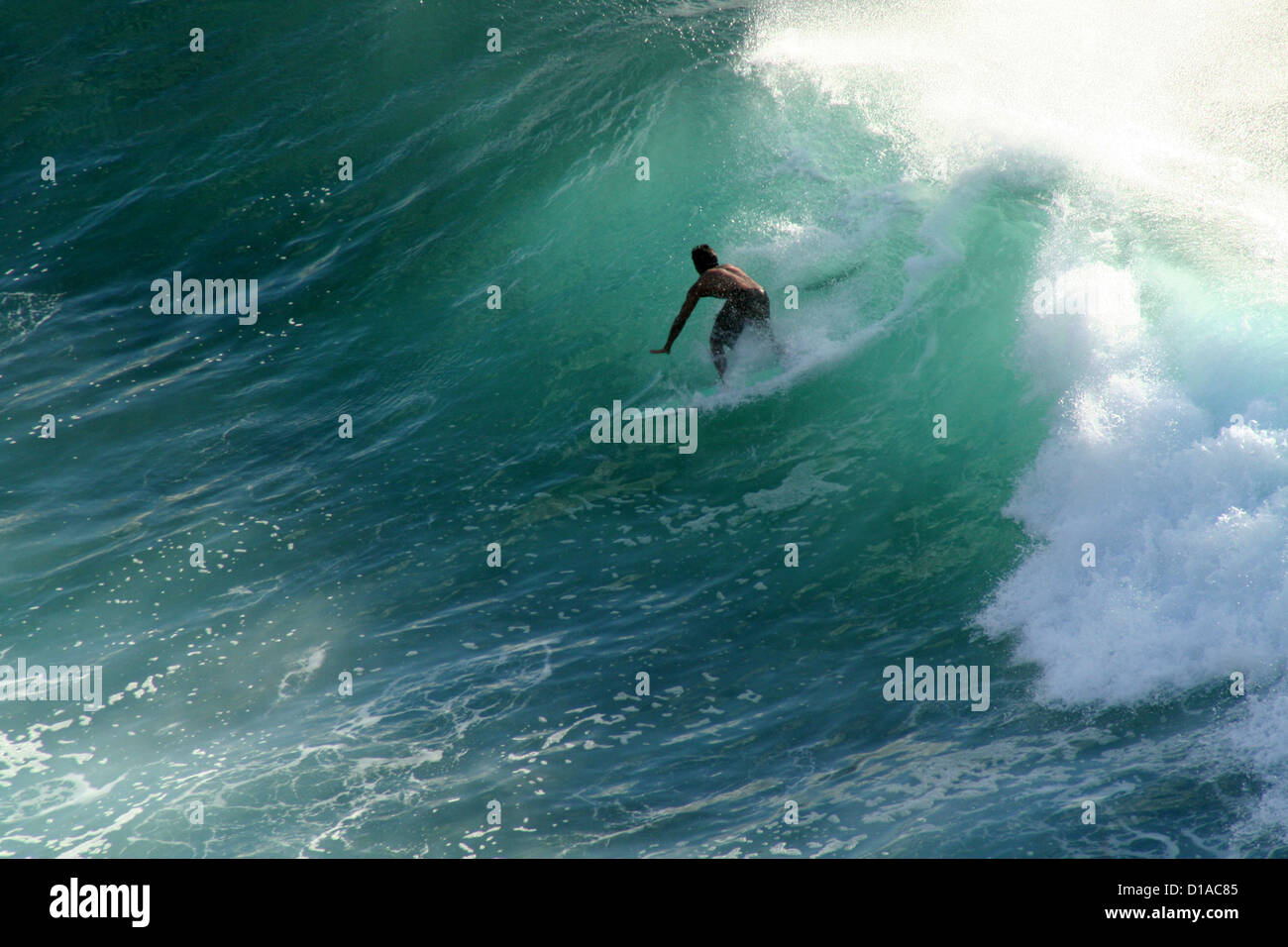 Giant wave surfer hi-res stock photography and images - Alamy