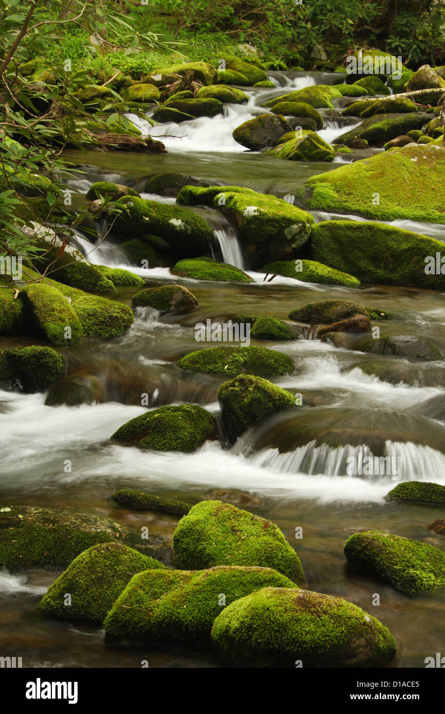 Green Moss Mountain Stream Stock Photo - Alamy