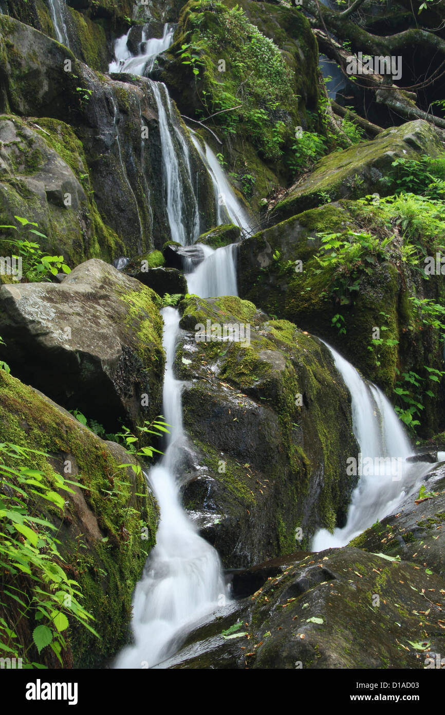 Thousand drips waterfall hi-res stock photography and images - Alamy