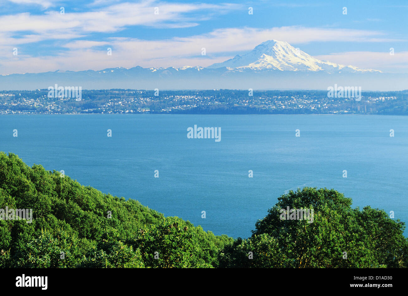Washington, Seattle, View Of Mt.Rainier From Puget Sound, Greenery In ...