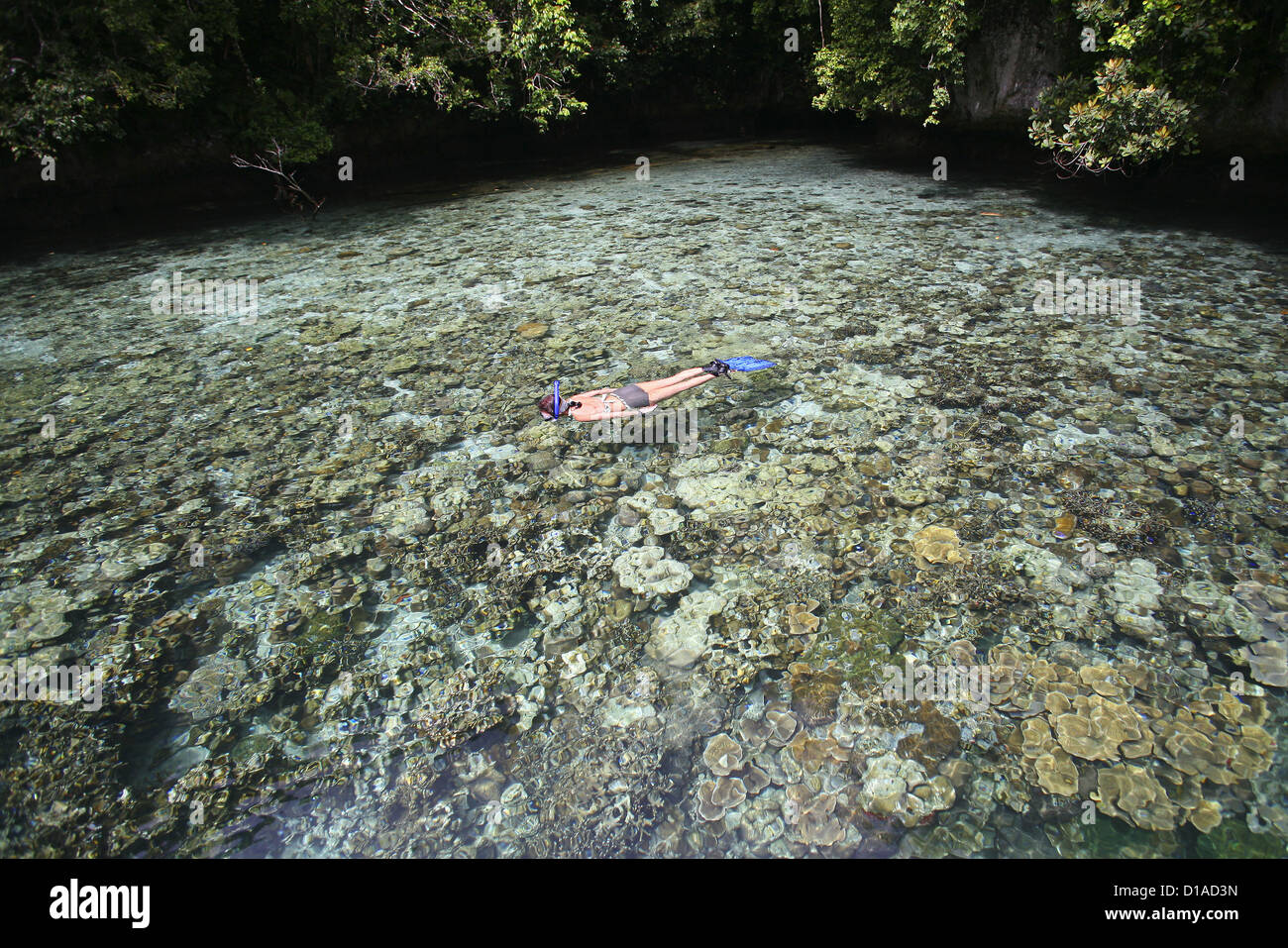 Palau islands from above hi-res stock photography and images - Alamy