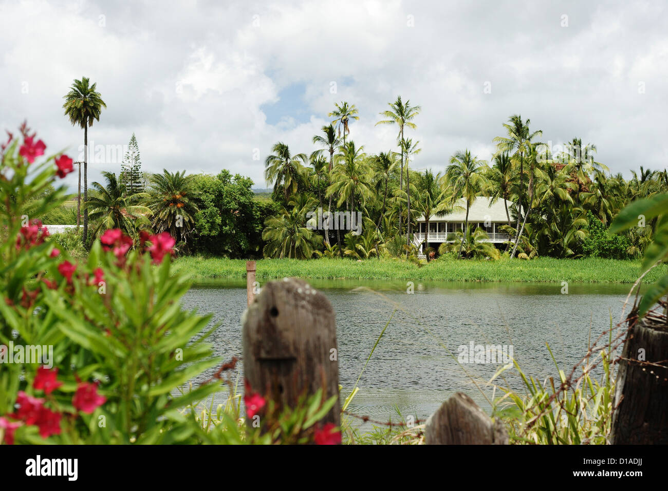 Hawaii, Oahu, North Shore, Haleiwa, Tropical Landscape With House On ...