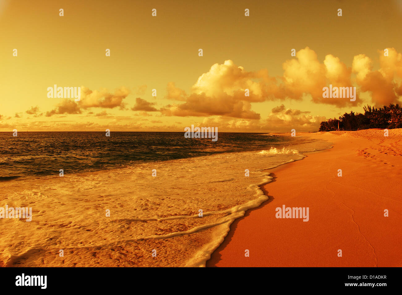 Hawaii, Oahu, North Shore, Water Lapping Onto Shore Of A Beautiful ...