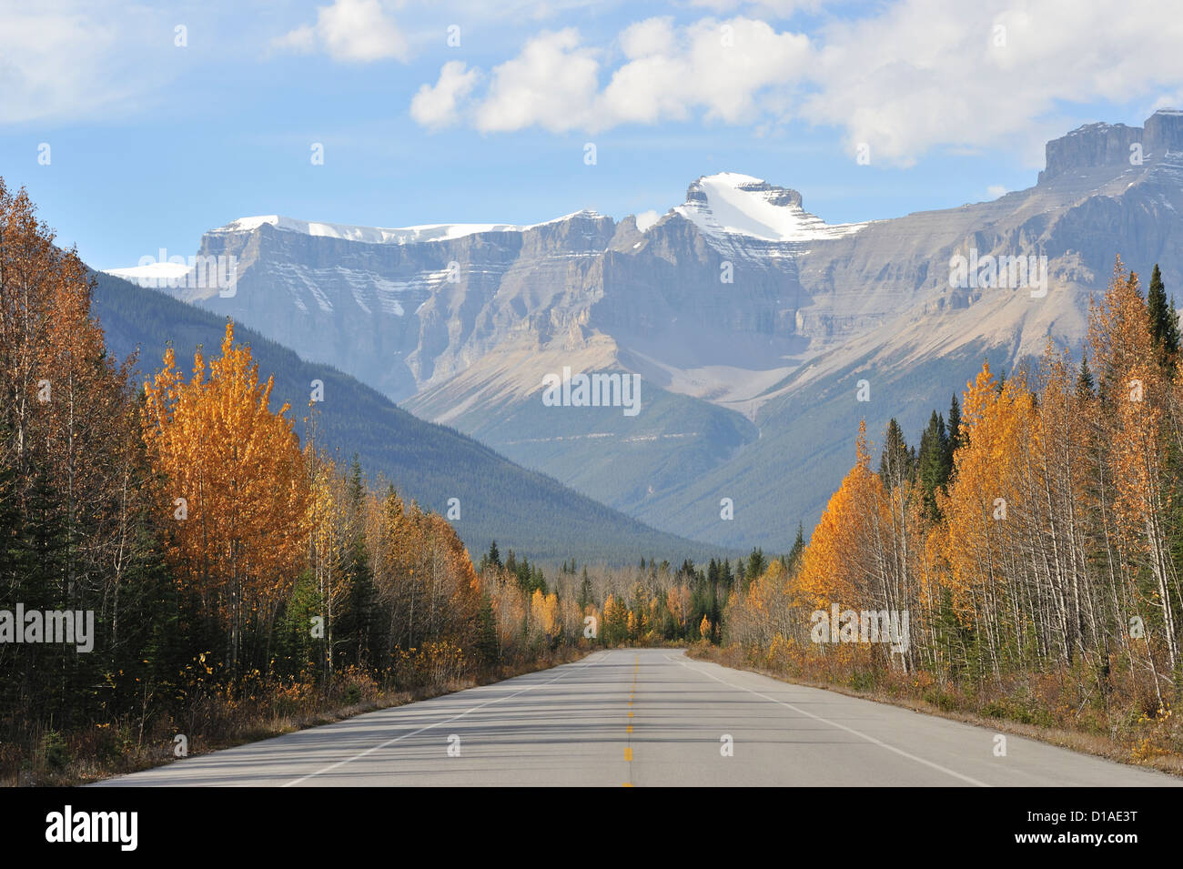 Icefields parkway and road hi-res stock photography and images - Alamy