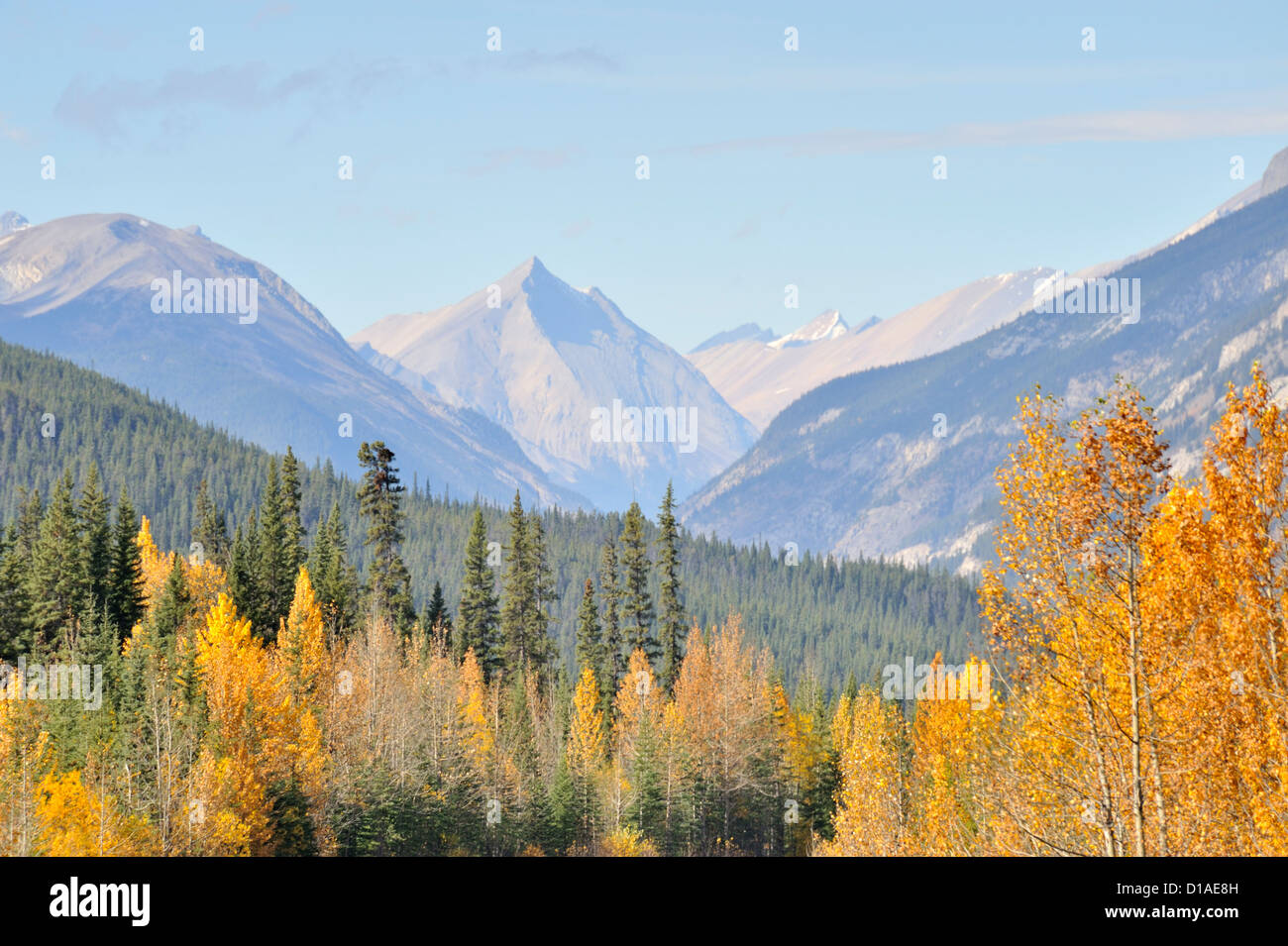 Autumn colours in the Canadian Rocky Mountains, Alberta, Canada Stock ...