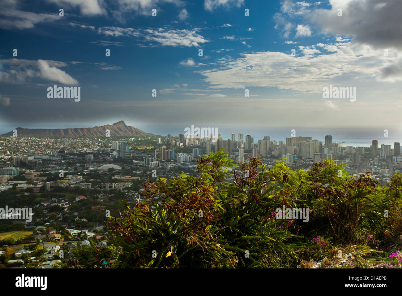 Honolulu Hawaii Oahu Stock Photo - Alamy