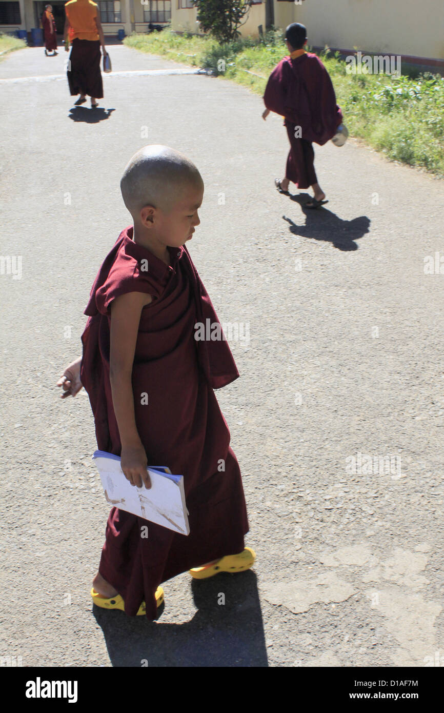 Little buddhist monk in tibetian hi-res stock photography and images ...