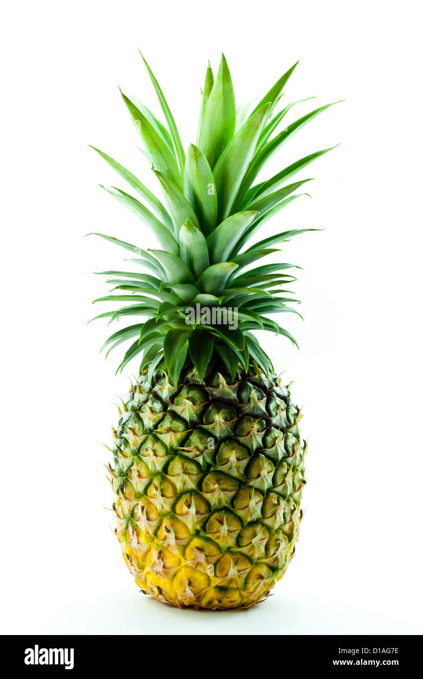 Stiff stem hi-res stock photography and images - Alamy