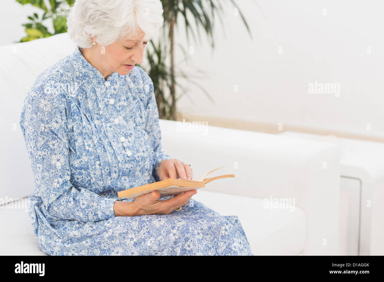 Elderly calm woman reading a old book Stock Photo - Alamy
