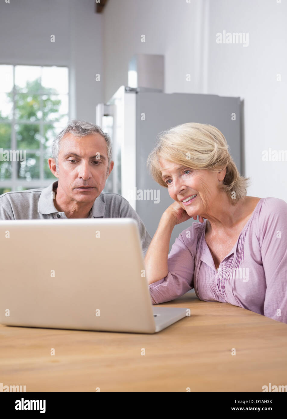 Focused couple using a laptop together Stock Photo - Alamy