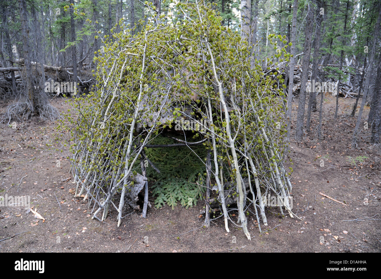 Northwest territory native american hi-res stock photography and images ...