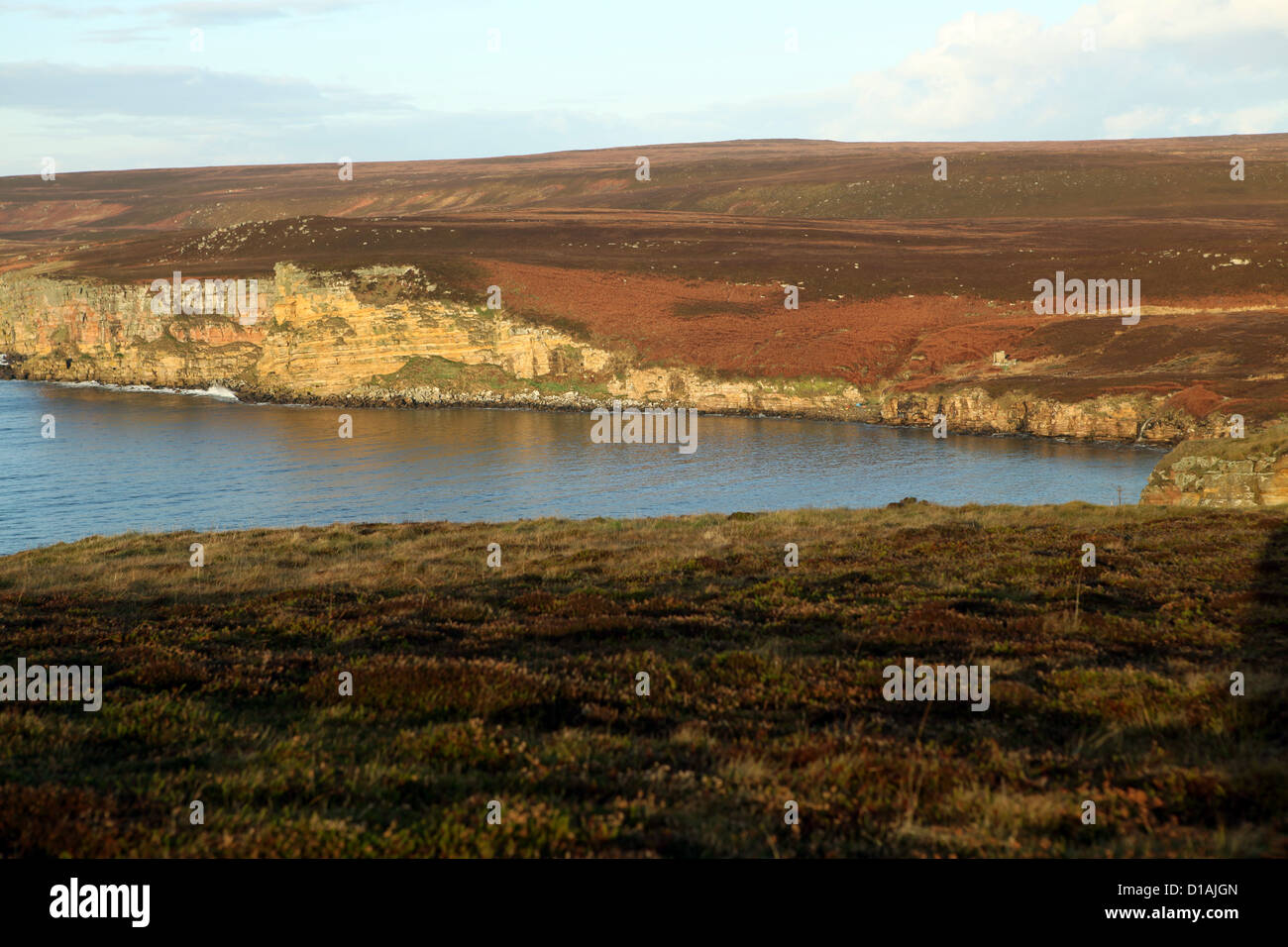 Dunnet head coastal walk - peninsula in Caithness - most northerly ...