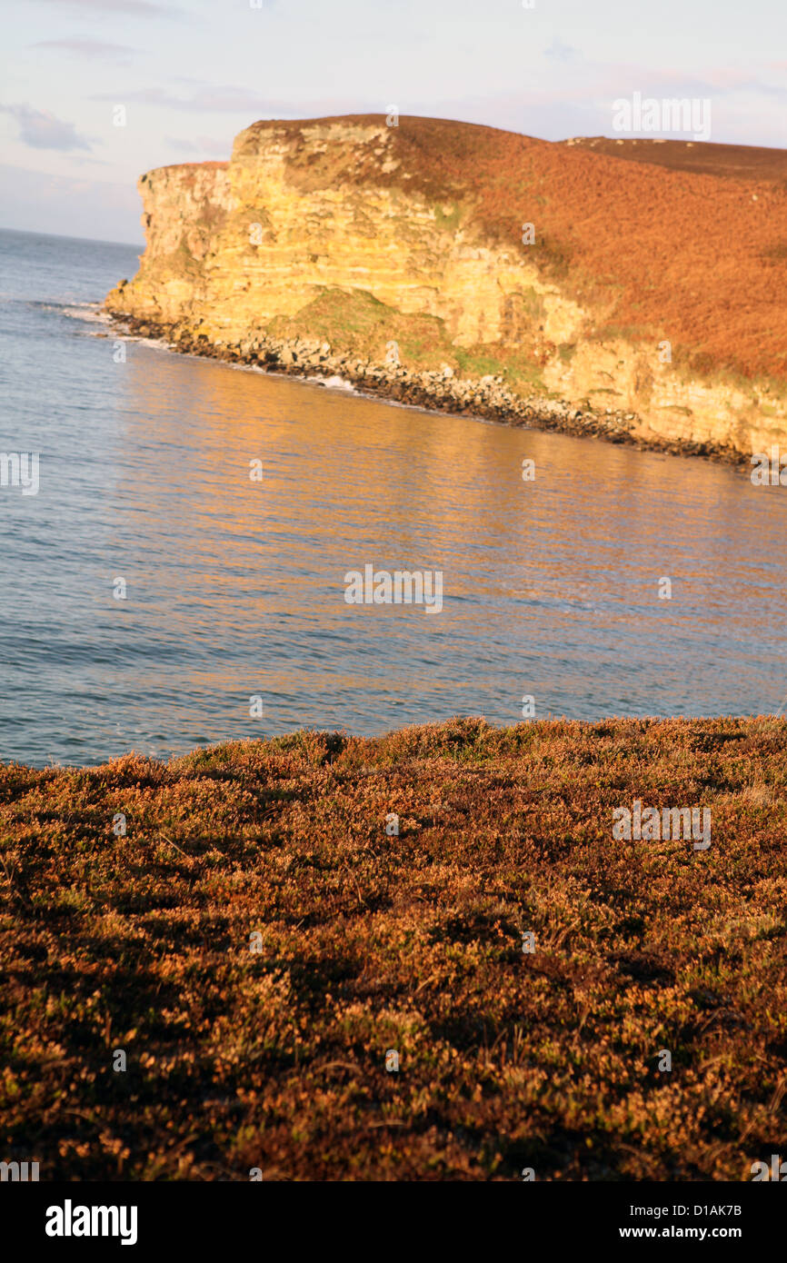 Dunnet head coastal walk - peninsula in Caithness - most northerly ...