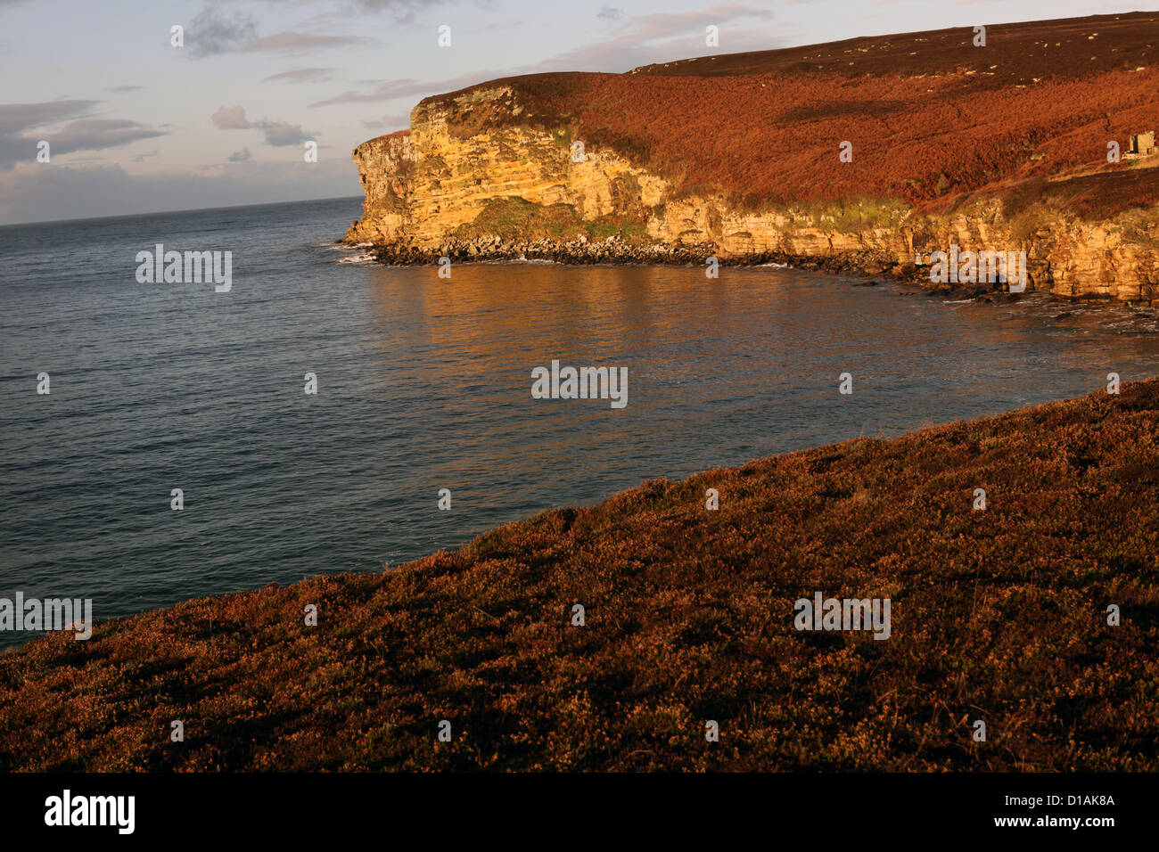 Dunnet head coastal walk - peninsula in Caithness - most northerly ...