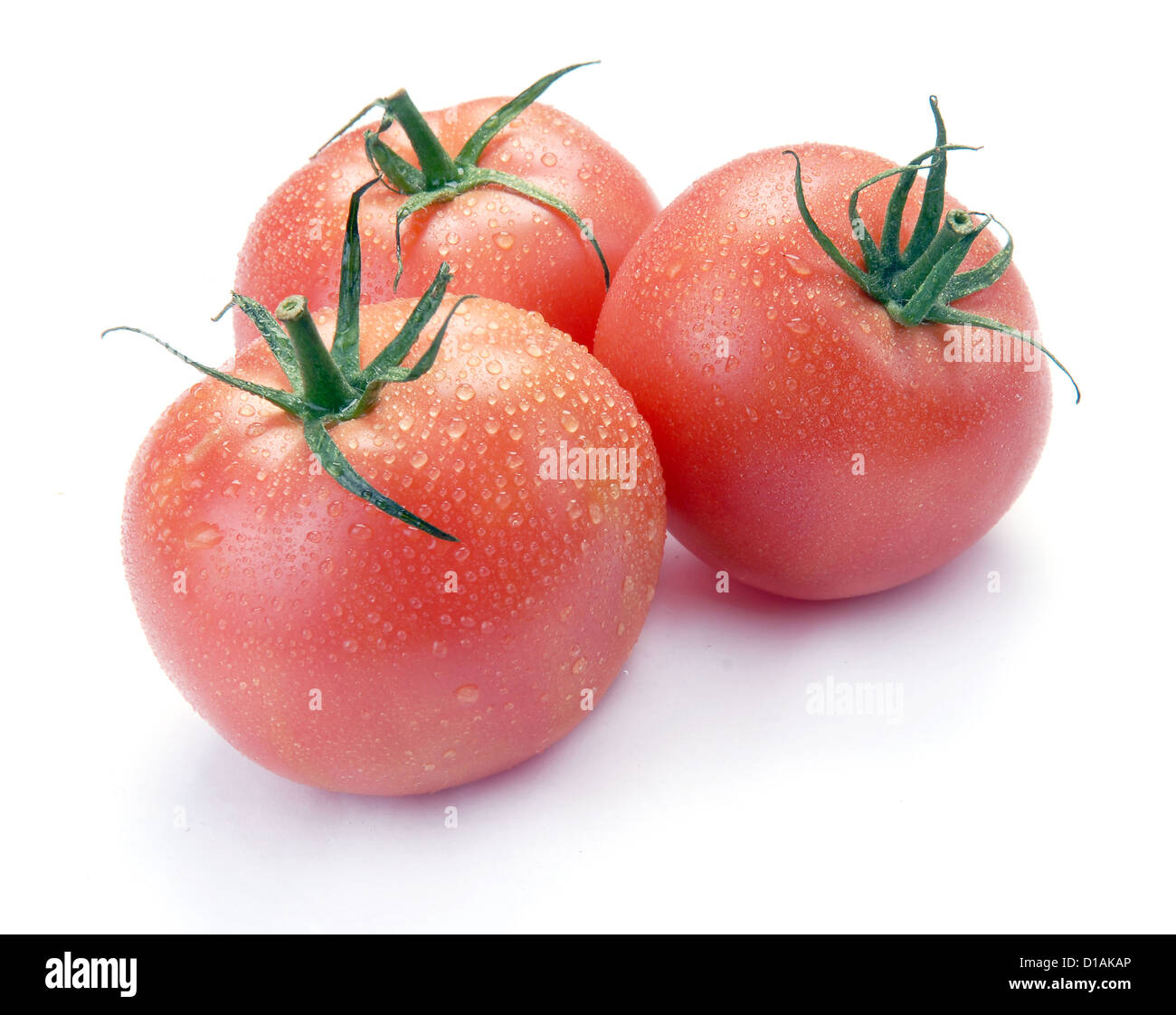 Three pink tomatoes with drops on a white background Stock Photo - Alamy
