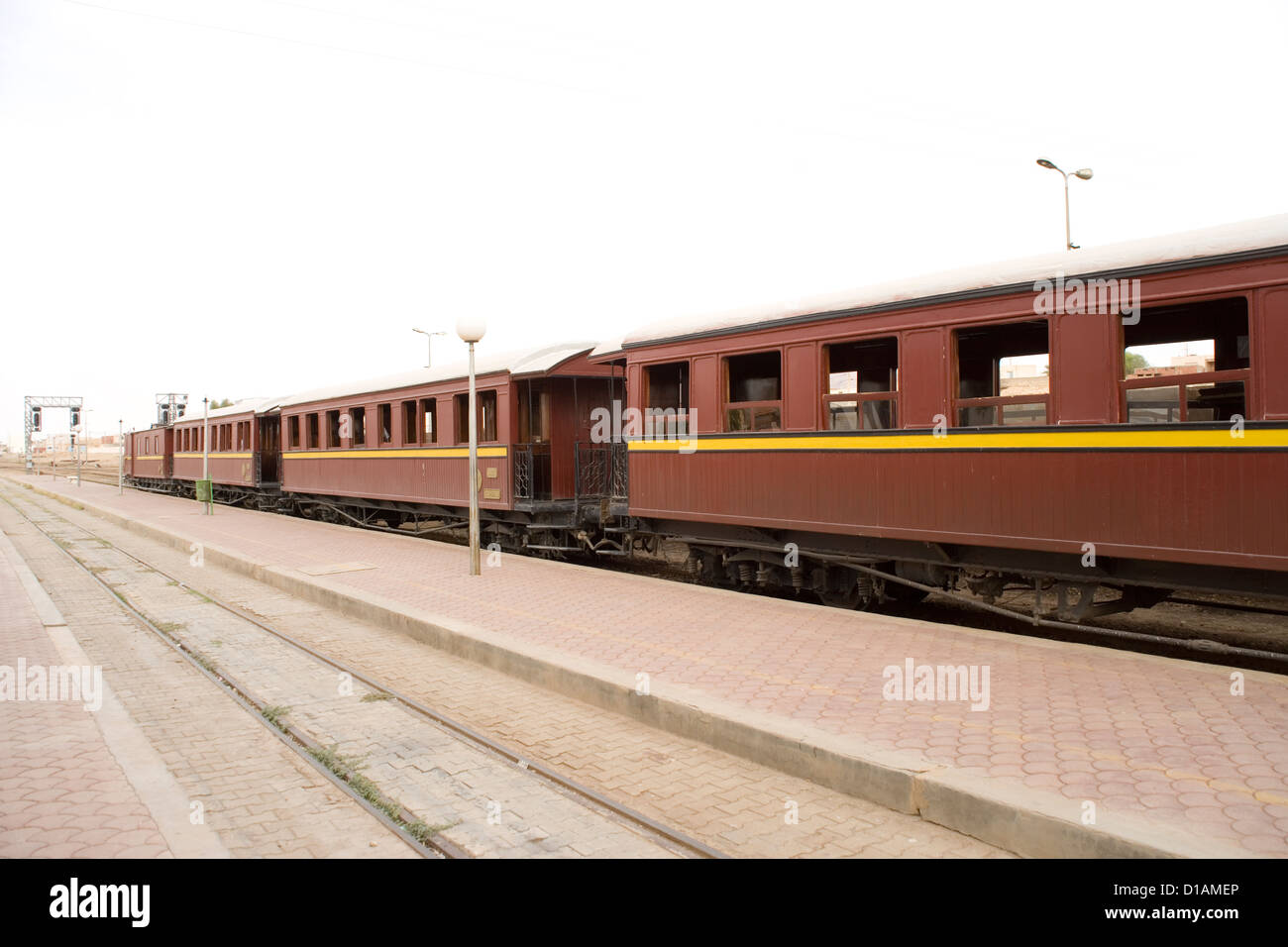Red lizard hi-res stock photography and images - Alamy