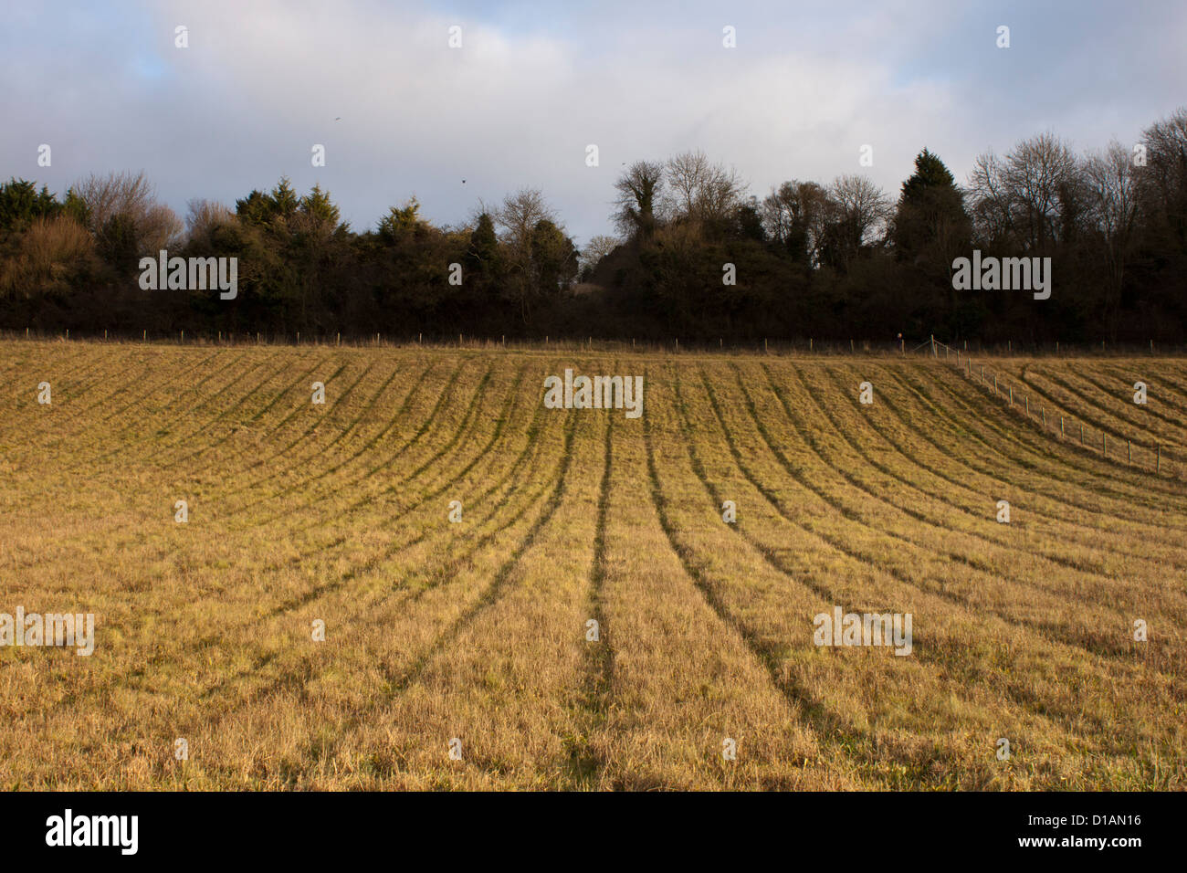 English country cottage farm hi-res stock photography and images - Alamy