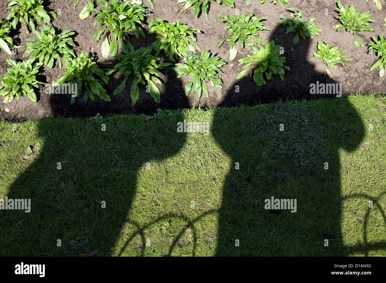 Shadow of Two Men Stock Photo - Alamy
