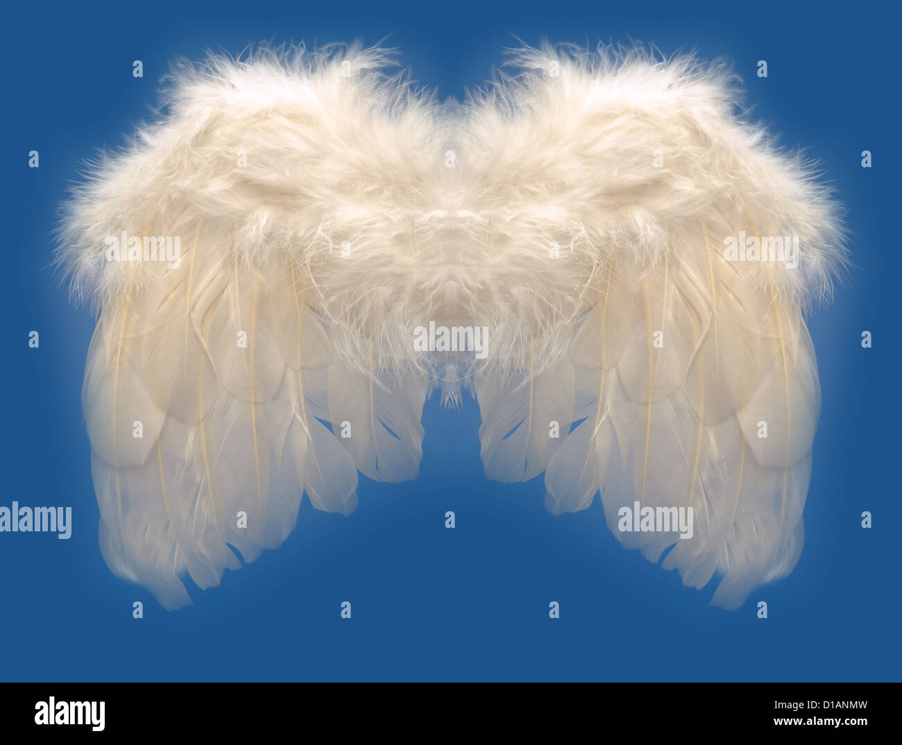 Angel Feather Background