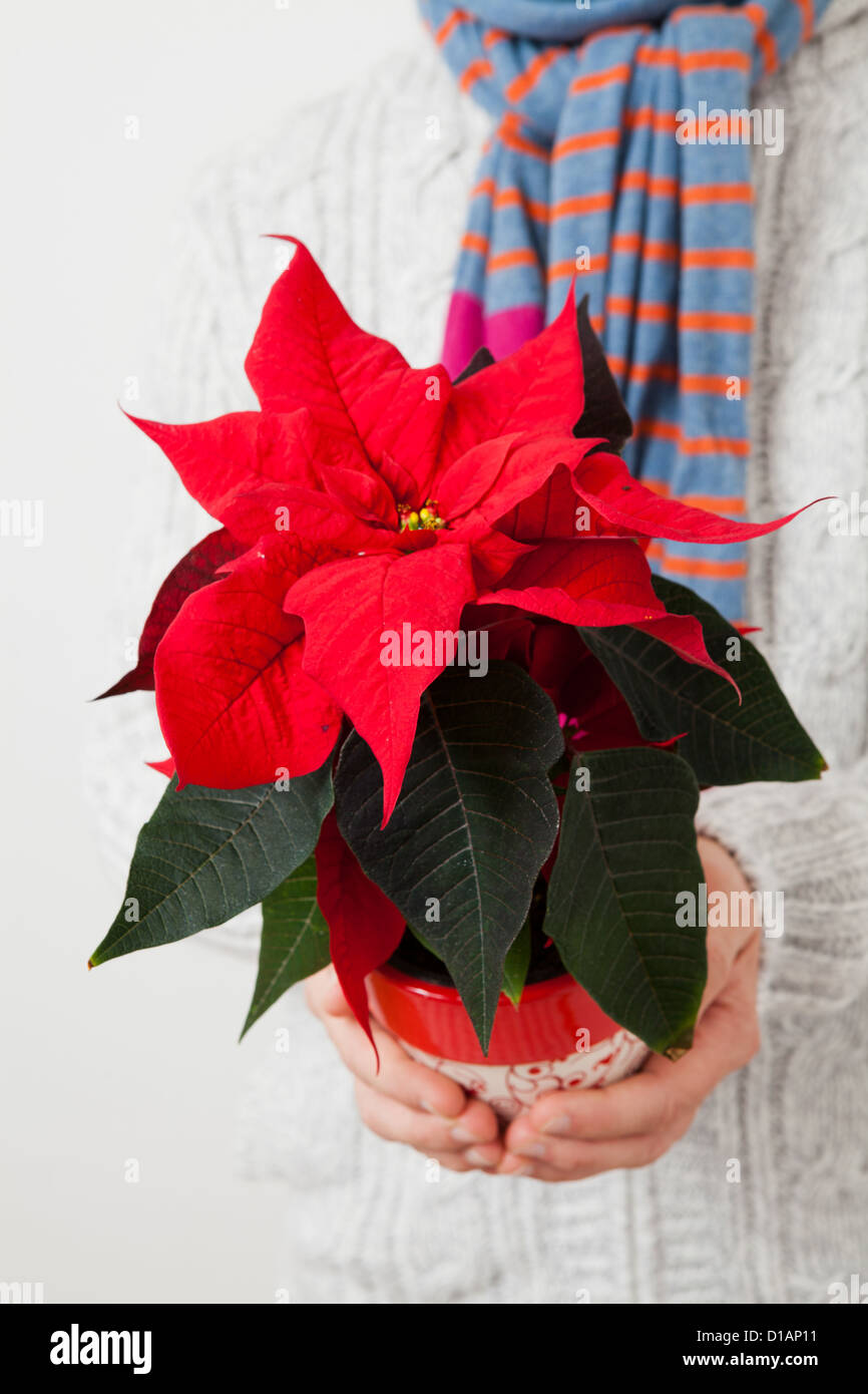 Scalf hi-res stock photography and images - Alamy